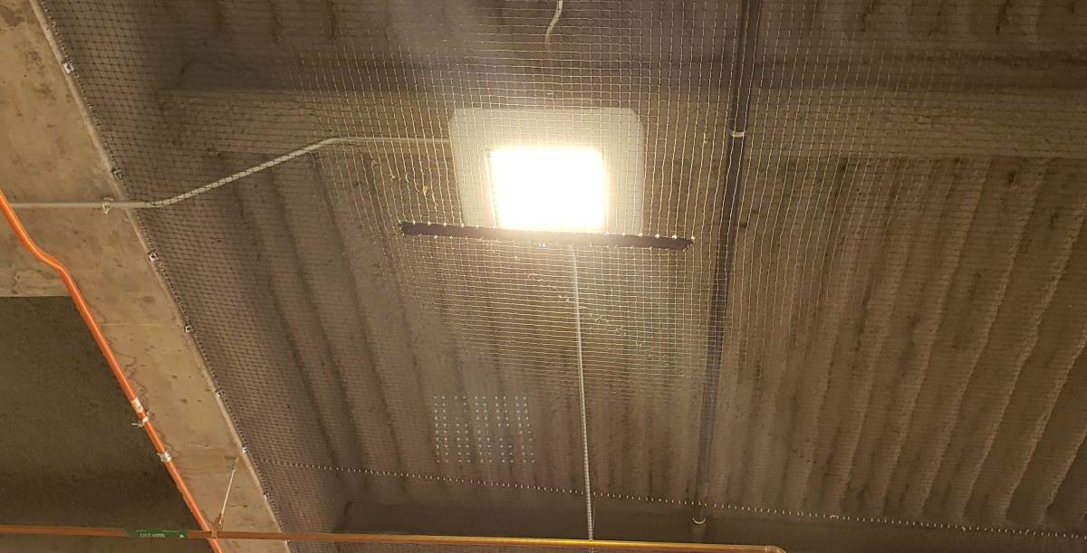 Food Processing Plant Bird Removal Services in Adams County, Colorado ...