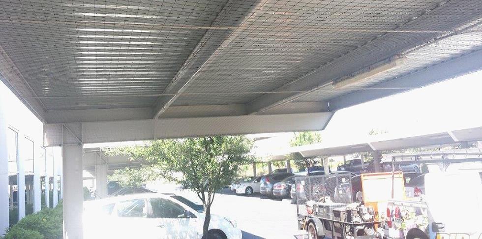 Commercial Bird Control Services in Harrison County, Texas - Rid A Bird ...